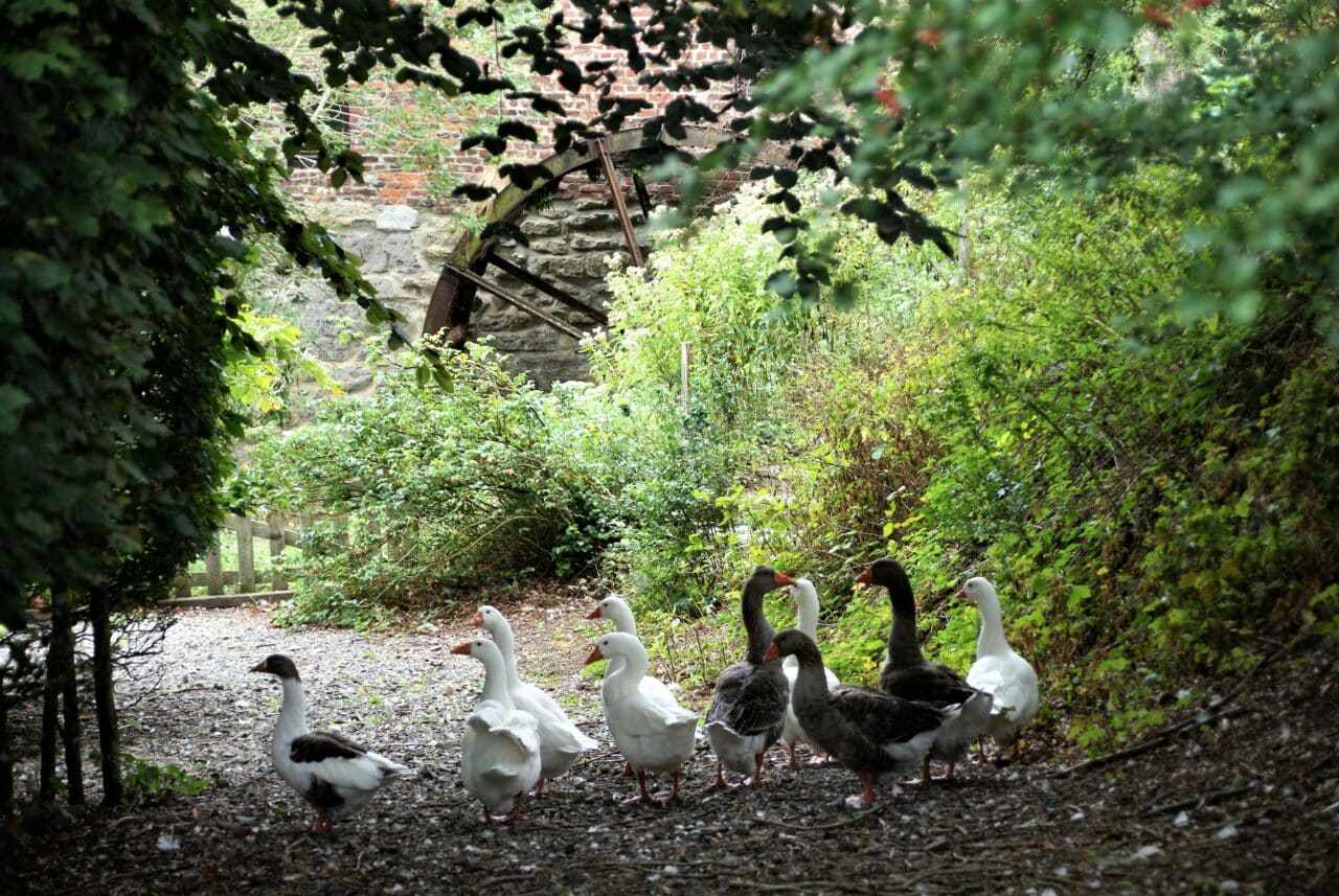 Discovering Lonzée - VisitGembloux