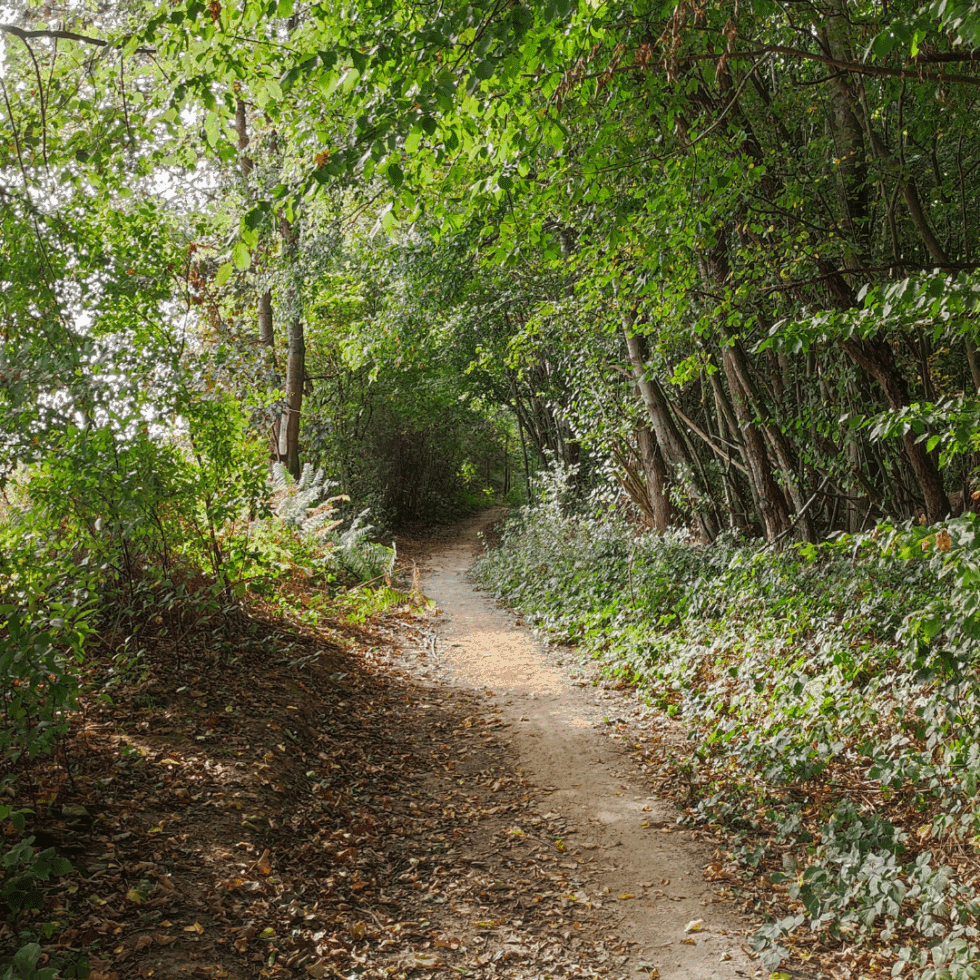 Les Isnes - VisitGembloux